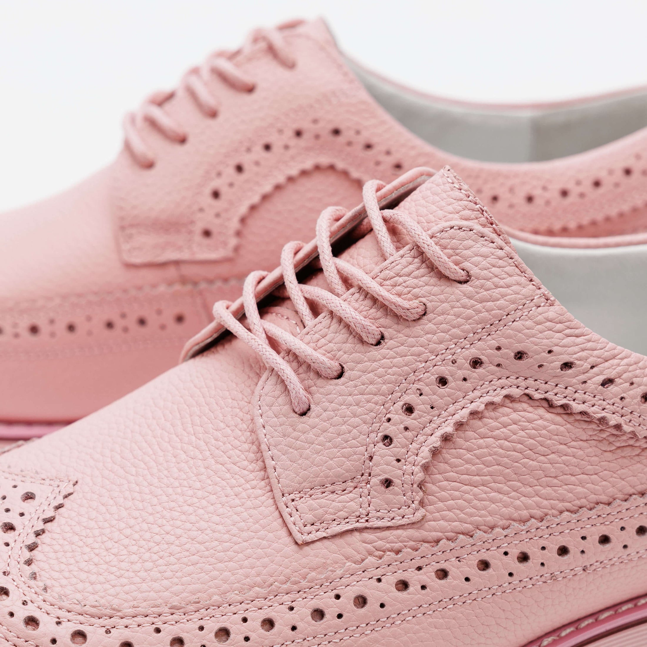 Alexander Pink Leather Longwing Sneakers